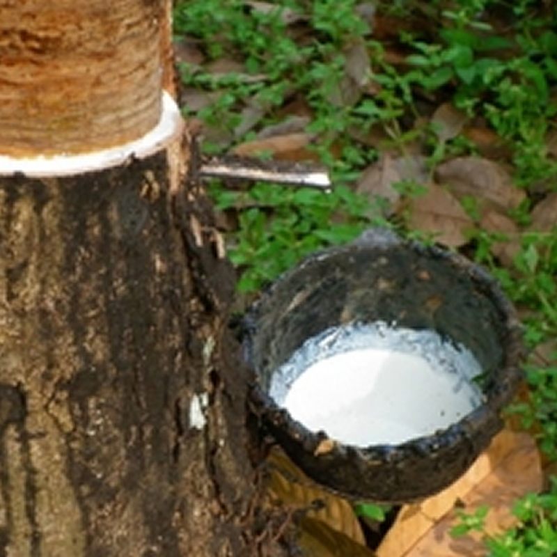 Productos Olmeca | Comercializadora de la industria de hule, textil y ...